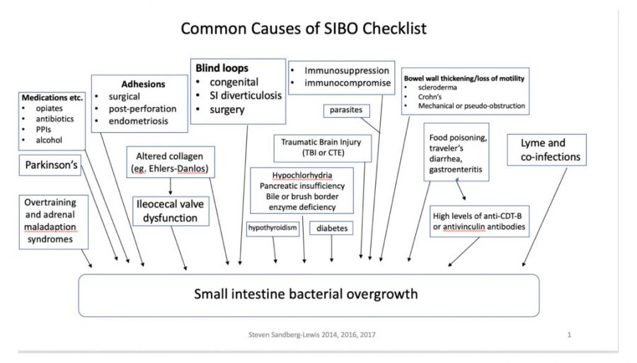 SIBO - is it the cause of your bloating (and so much more)? - Dr. K ...
